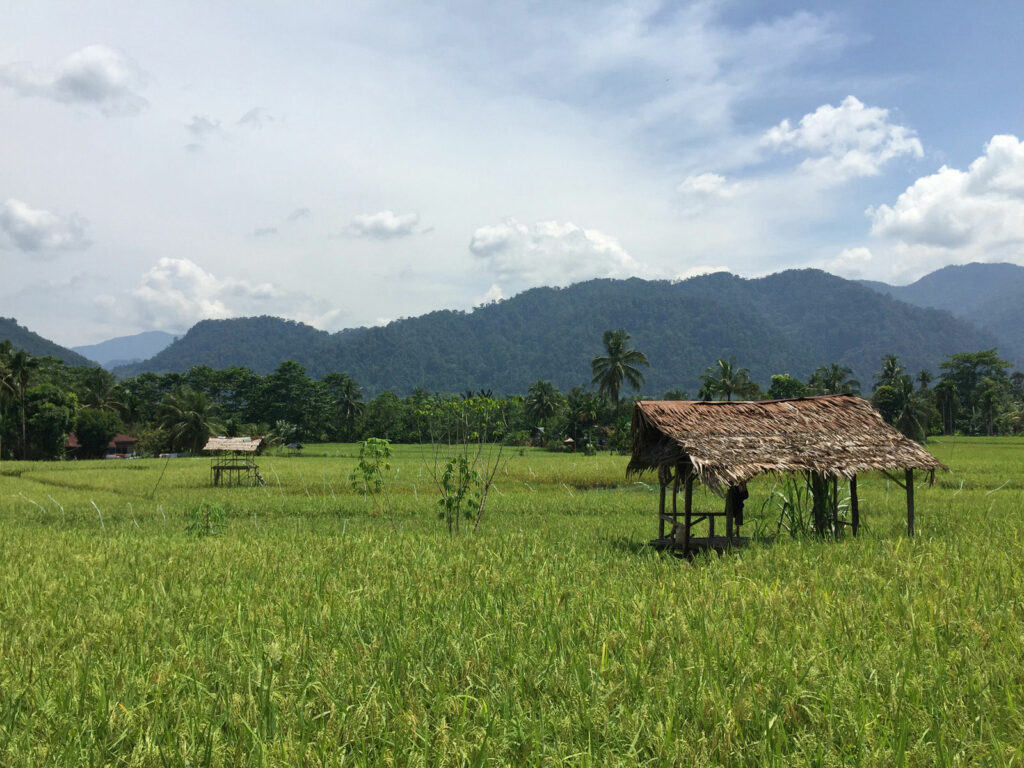 Why you should go to Sumatra | Discover Sumatra