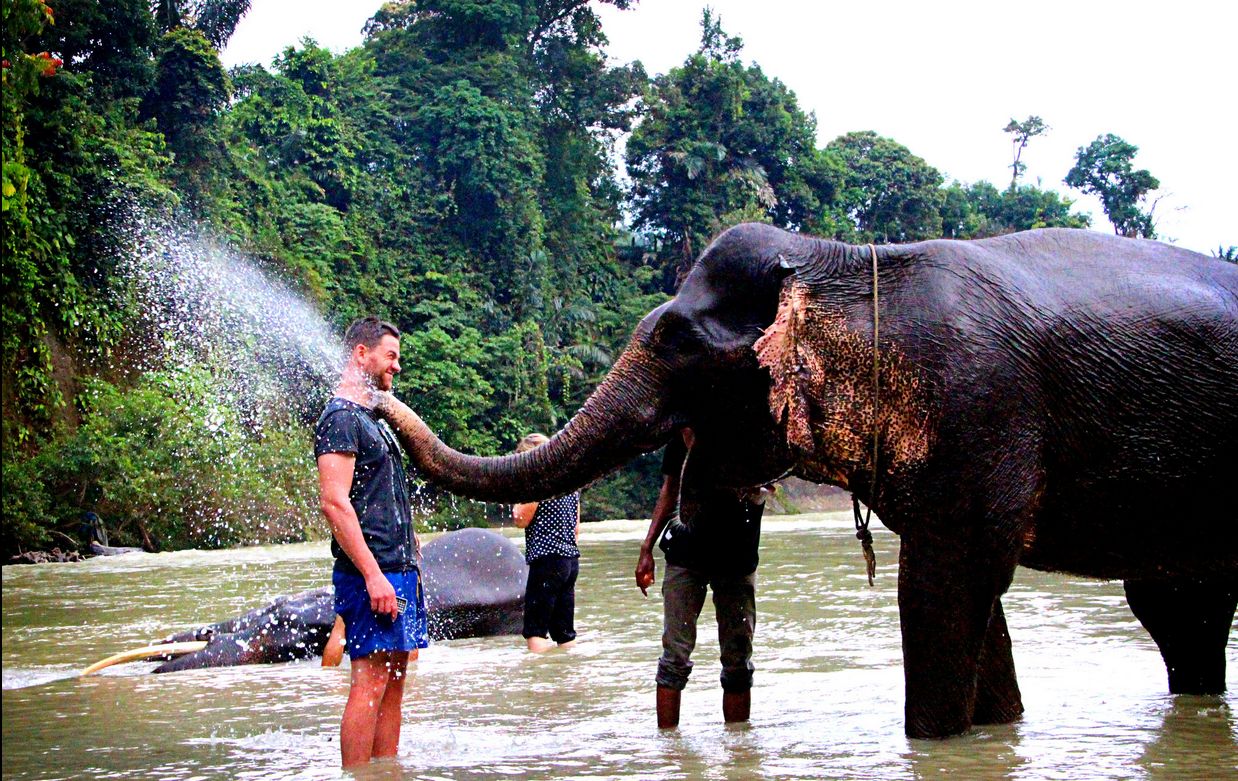 Elefanten-Park in Tangkahan | Discover Sumatra