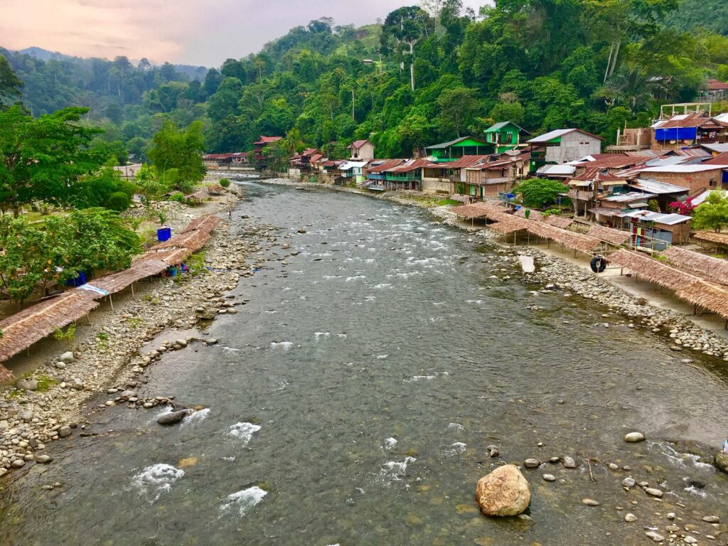 The ultimate guide for Bukit Lawang | Discover Sumatra