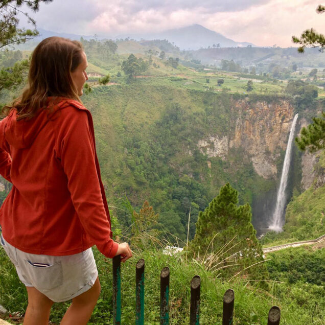 The ultimate guide for Bukit Lawang (Update 2026) | Discover Sumatra