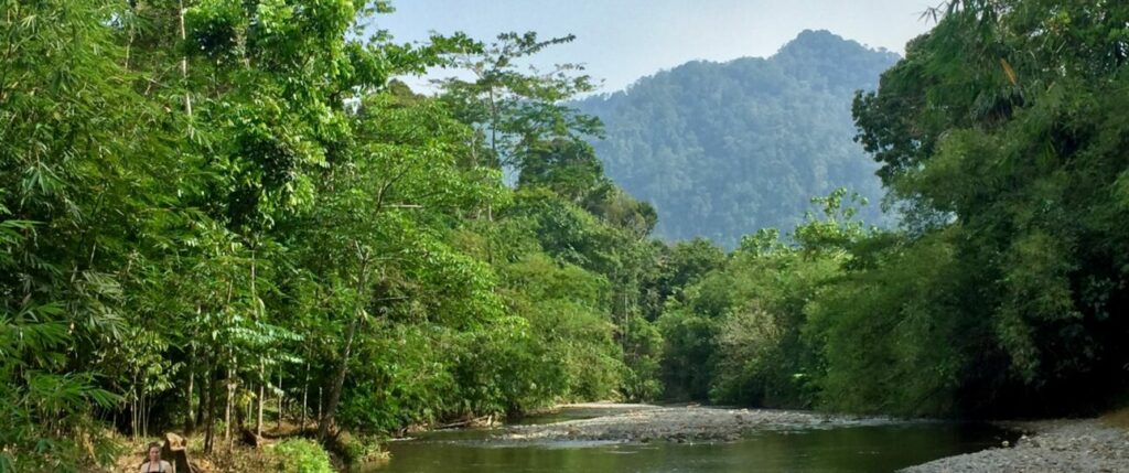 Bat Cave & BBQ at Landak River | Discover Sumatra