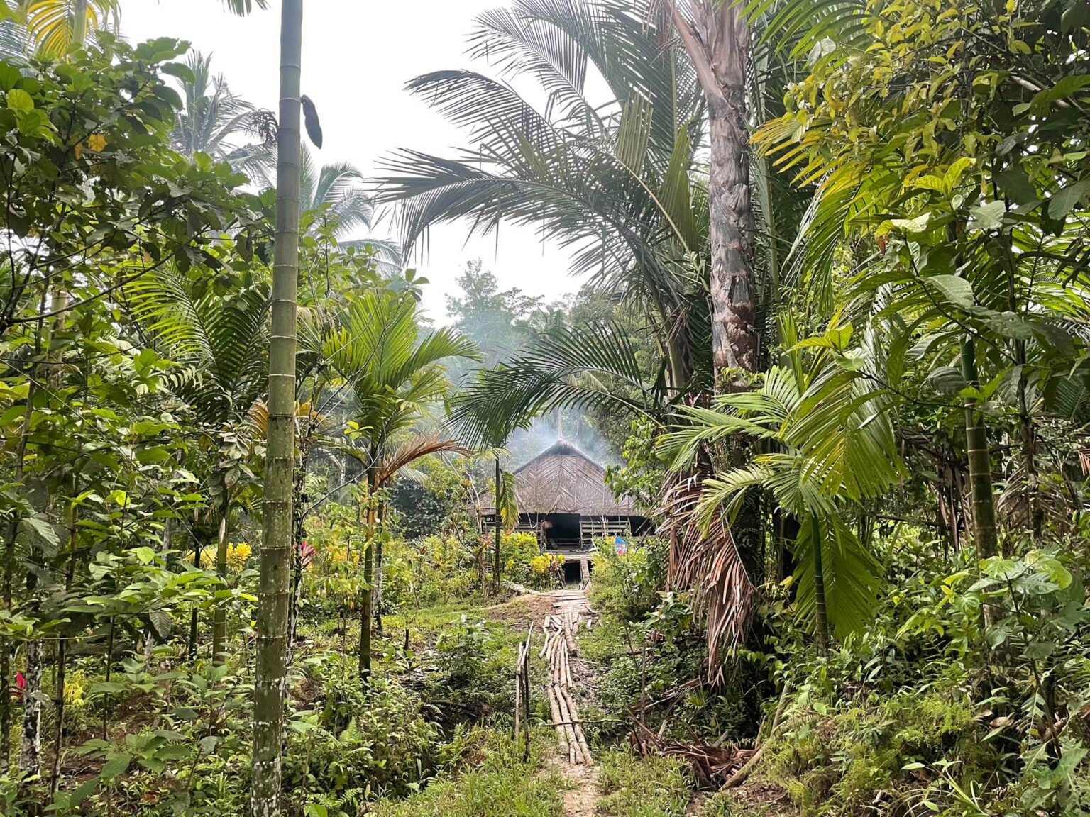 Travel Guide to the Mentawai Islands | Discover Sumatra