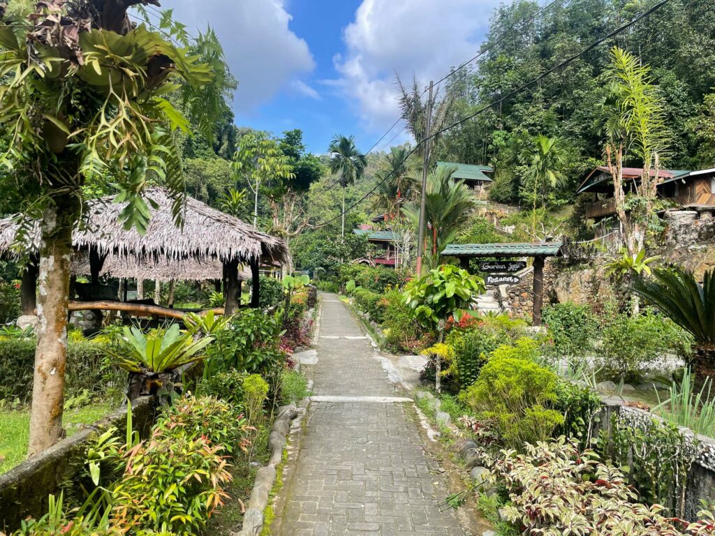 The ultimate guide for Bukit Lawang (Update 2026) | Discover Sumatra