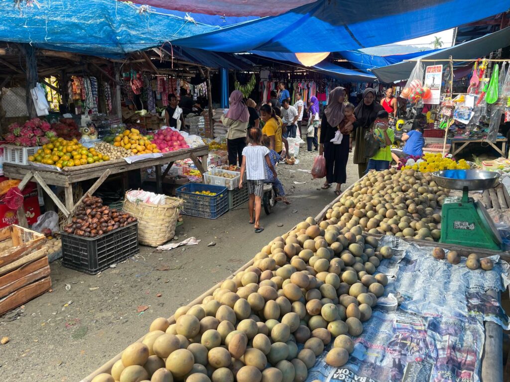 The ultimate guide for Bukit Lawang | Discover Sumatra