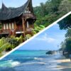 Best places to see Orangutans in Sumatra: Locations, Travel Tips, and ...